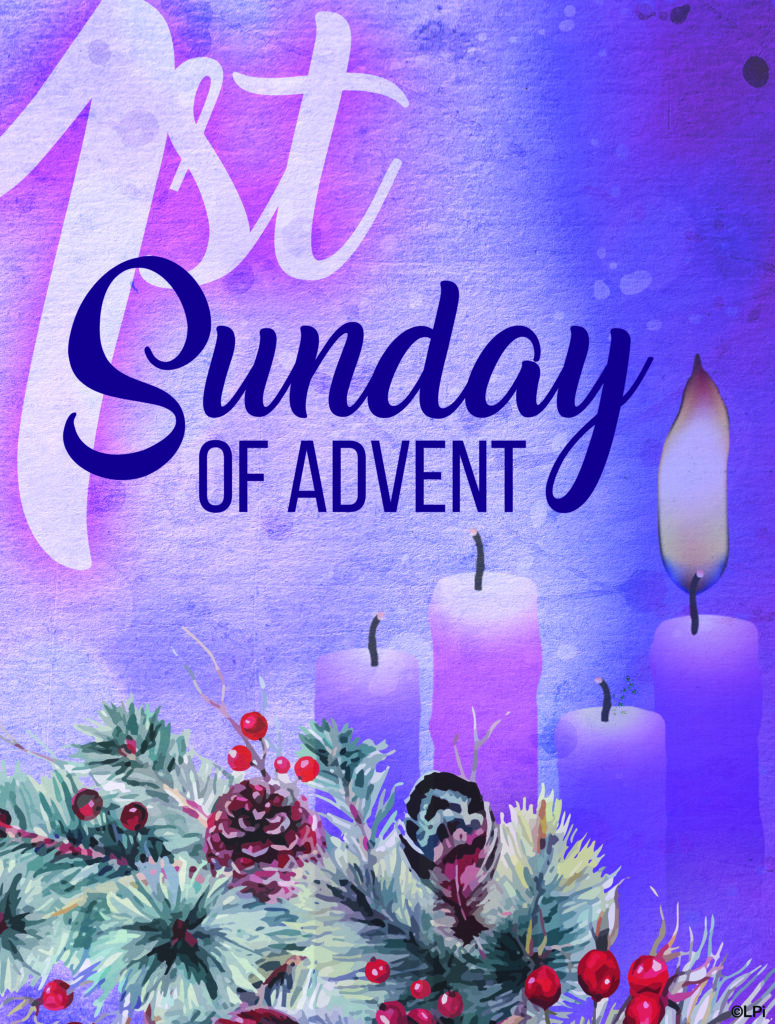 Pastor's Letter | 1st Sunday of Advent | Queen of Apostles Catholic Church