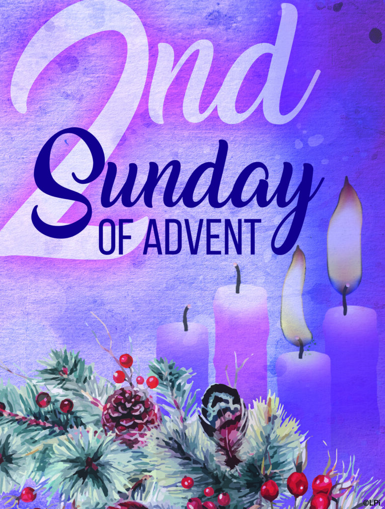 Pastor's Letter | 2nd Sunday of Advent | Queen of Apostles Catholic Church