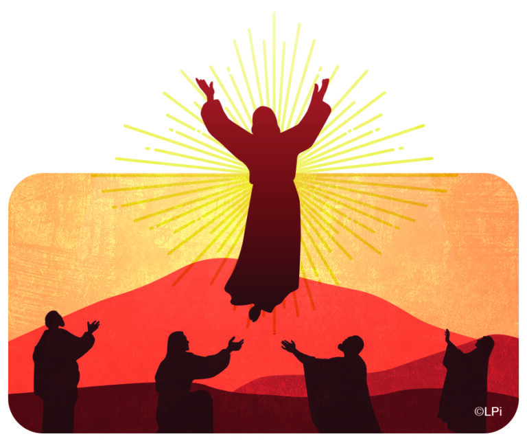 Pastor's Letter | Ascension Sunday | Queen of Apostles Catholic Church