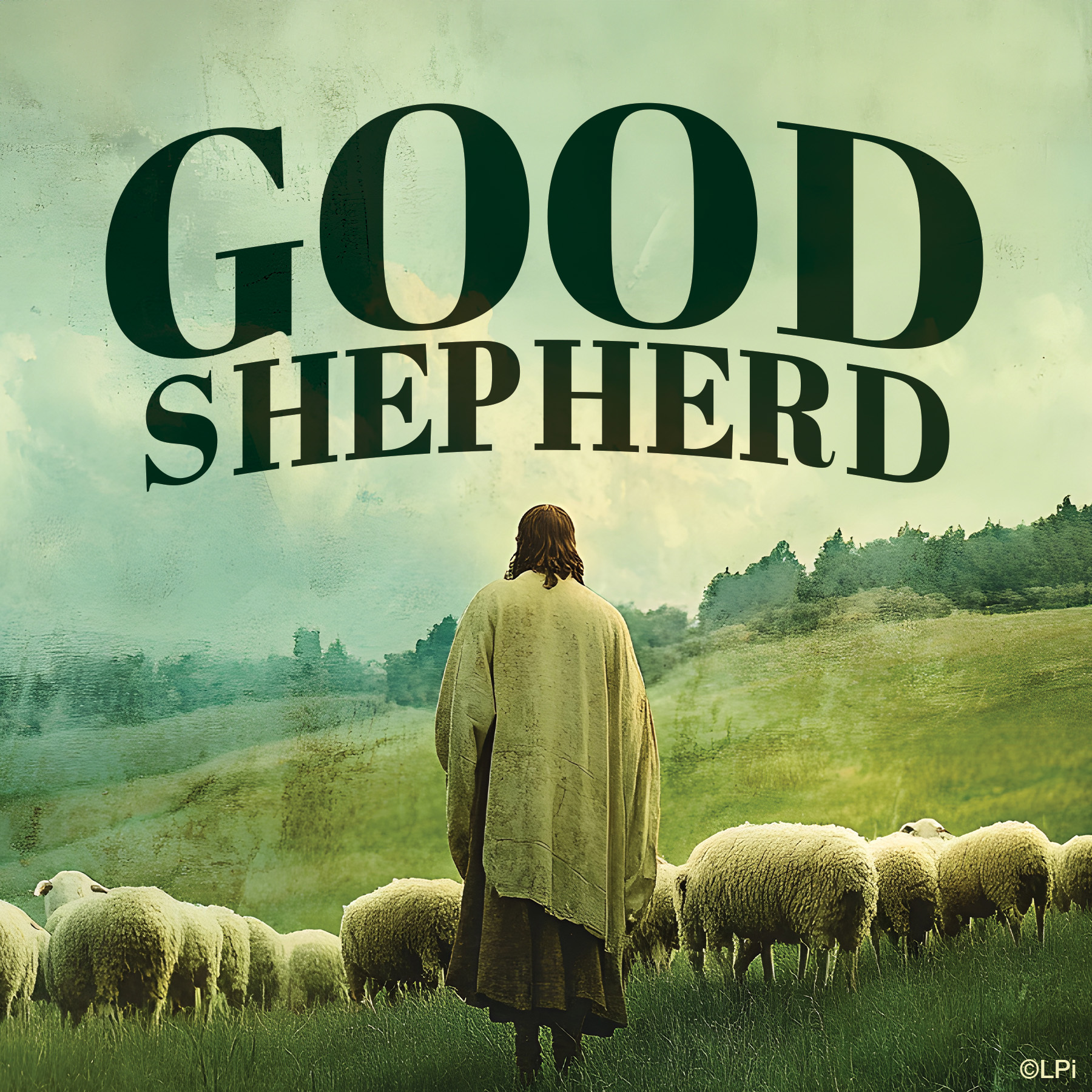 Pastor's Letter | Fourth Sunday of Easter | Queen of Apostles Catholic Church