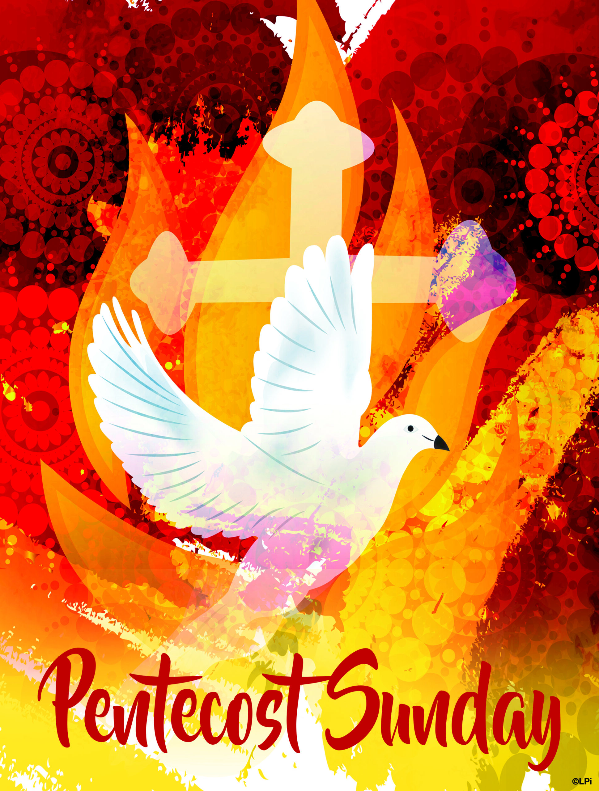 Pastor's Letter | Pentecost Sunday | Queen of Apostles Catholic Church