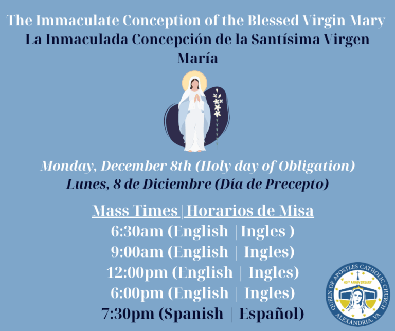 The Immaculate Conception of the Blessed Virgin Mary | 2025 | Queen of ...