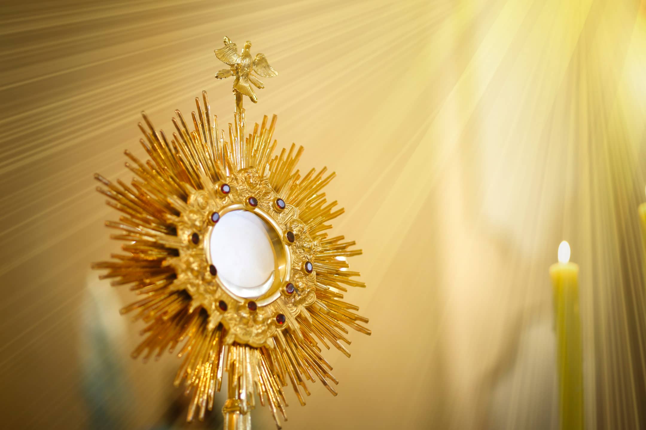 Pastor's Letter | Corpus Christi Sunday | Queen of Apostles Catholic Church